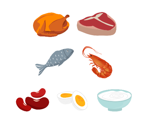 Omnivore meal plan template - Gaby Mora